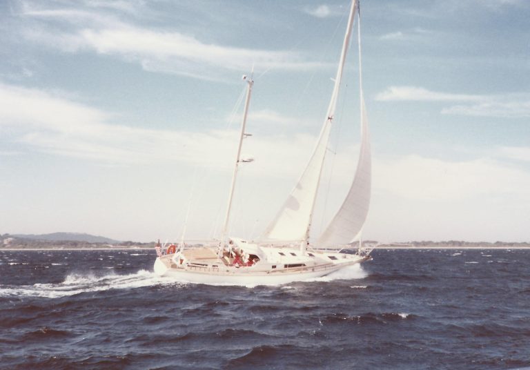 The AMEL story - AMEL