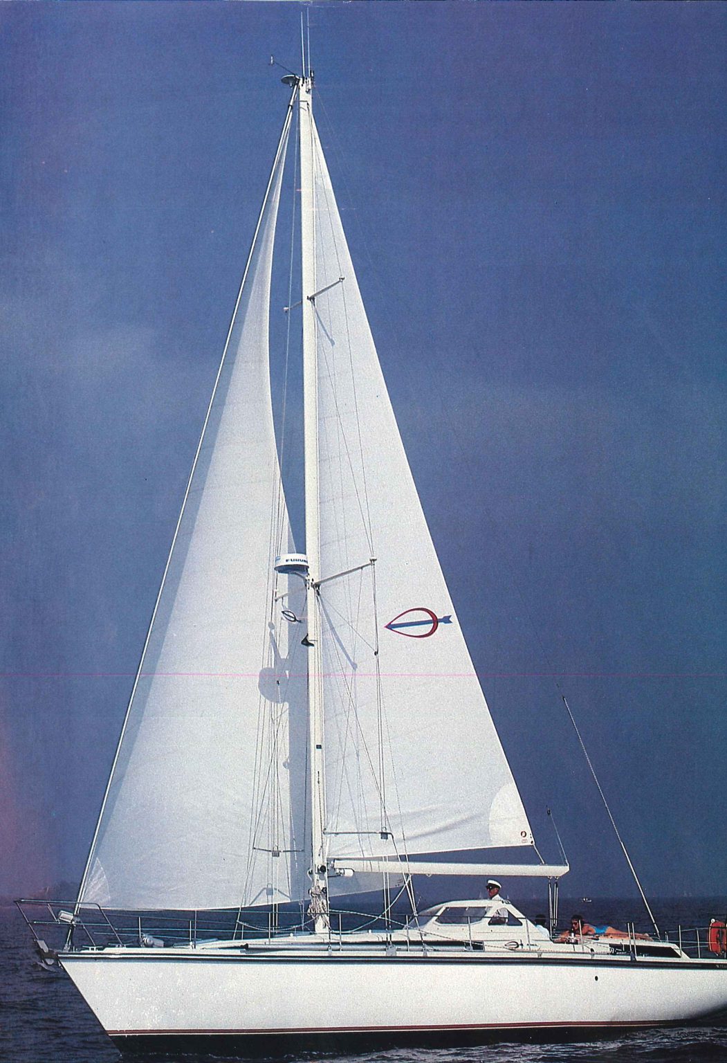 The AMEL story - AMEL